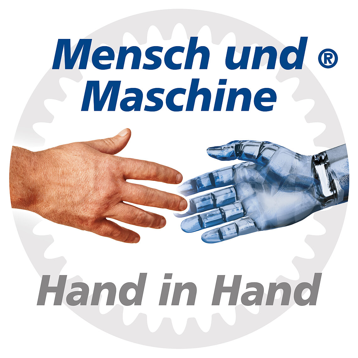 Semi-Automation & Smart Handling | Zasche handling